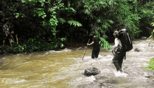 Sekilas Tentang Gunung Halau-halau di Kalimantan Selatan - Mounture.com