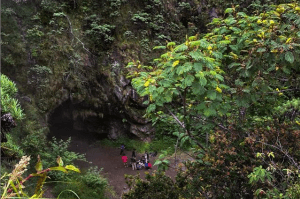 Pesona Goa Walet di Gunung Ciremai - Mounture.com