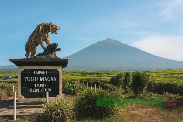 Sekilas Tentang Jalur Pendakian Gunung Kerinci via Kersik Tuo ...